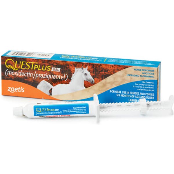 QUEST Gel Moxidectin Dewormer & Boticide for Horses & Ponies, 0.5-fl oz ...