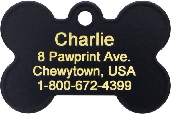 QUICK-TAG NFL Bone Personalized Dog ID Tag, Large, New England Patriots ...