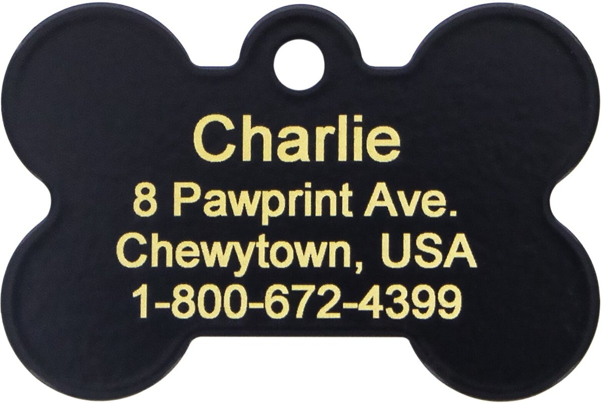 QUICK-TAG NFL Bone Personalized Dog ID Tag, Large, Philadelphia Eagles ...