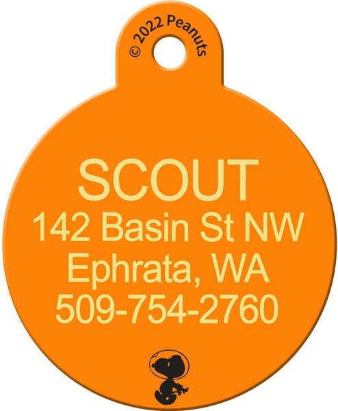 QUICK-TAG Peanuts Space Orange Stars Circle Dog ID Tag - Chewy.com