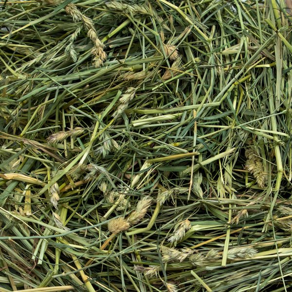 RABBIT HOLE HAY Ultra Premium Hand-Packed Coarse Orchard Grass for ...