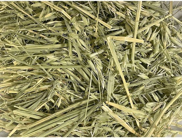 RABBIT HOLE HAY Ultra Premium Hand-Packed Oat Hay for Small Pets, 24-oz ...