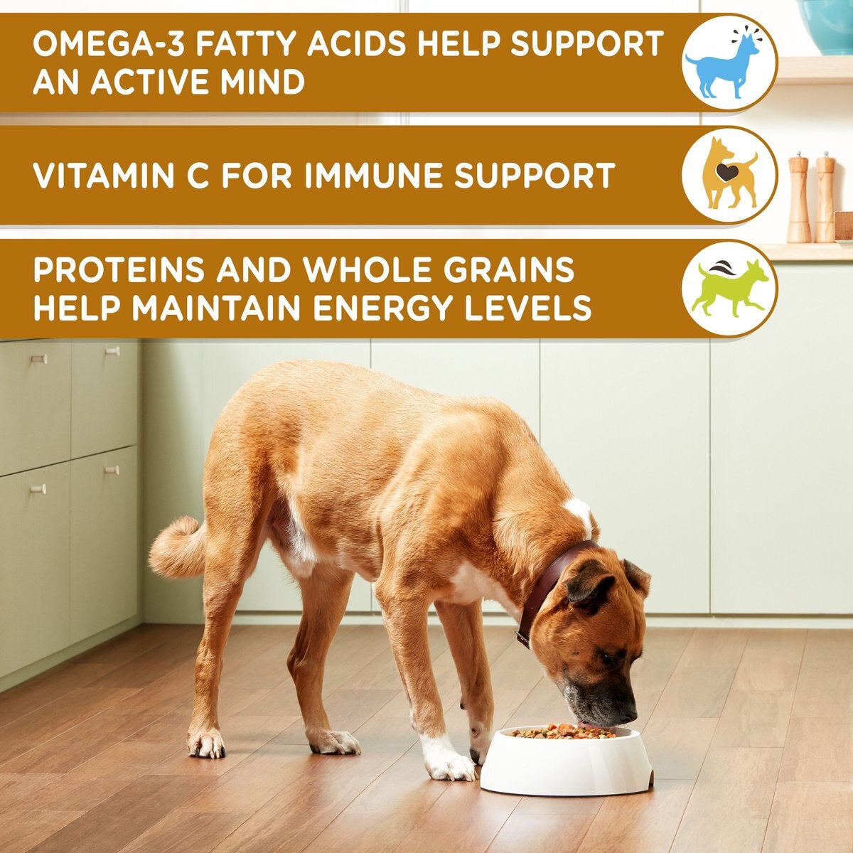 RACHAEL RAY NUTRISH Chunks in Gravy Variety Pack Dog Wet Food, 13-oz ...