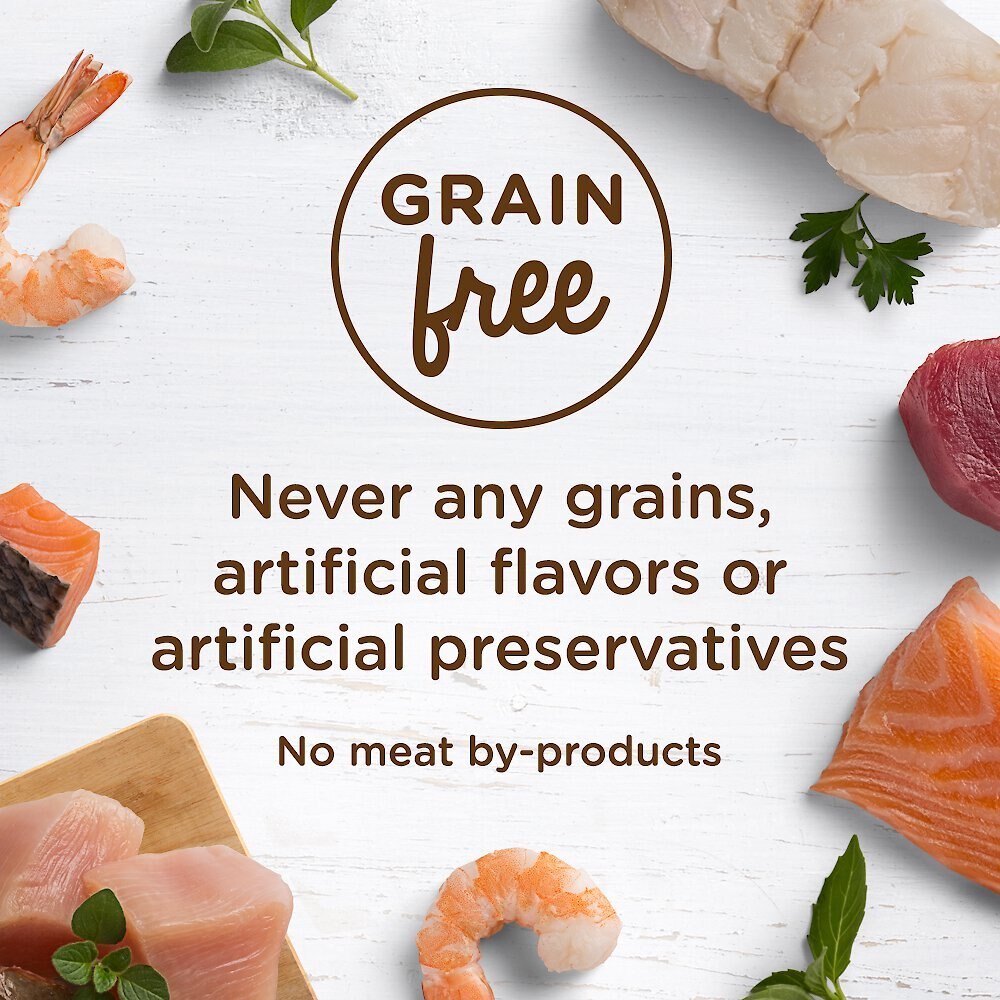 RACHAEL RAY NUTRISH Ocean Fish-A-Licious Grain-Free Wet Cat Food, 2.8 ...