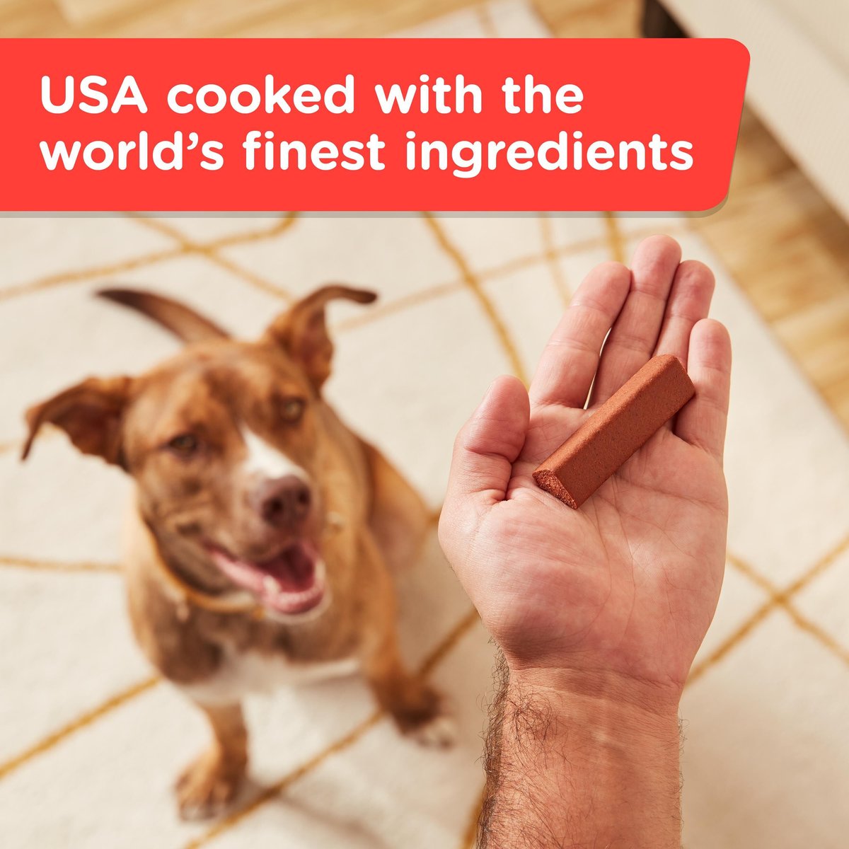 RACHAEL RAY NUTRISH Soup Bones Minis Chews with Real Beef & Barleys Dog ...