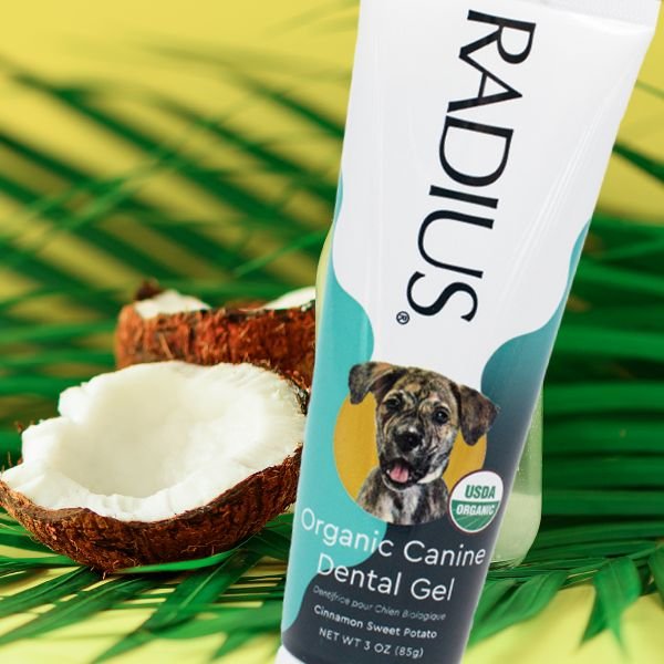 RADIUS USDA Organic Dog Toothpaste, 3-oz bottle - Chewy.com