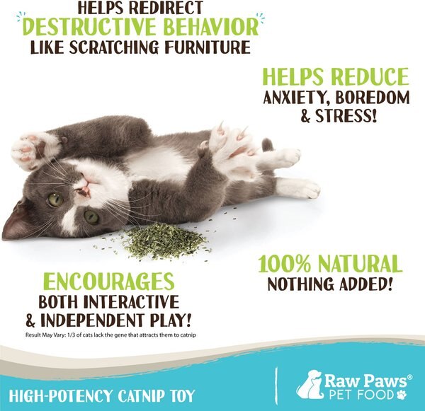 RAW PAWS All-Natural Loose Leaf Cut Catnip for Cats, 1-oz jar - Chewy.com