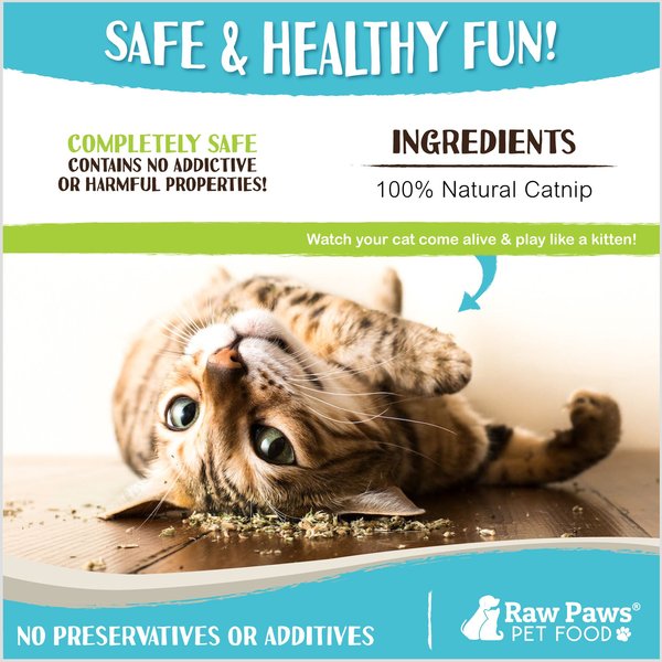 RAW PAWS All-Natural Loose Leaf Cut Catnip for Cats, 1-oz jar - Chewy.com