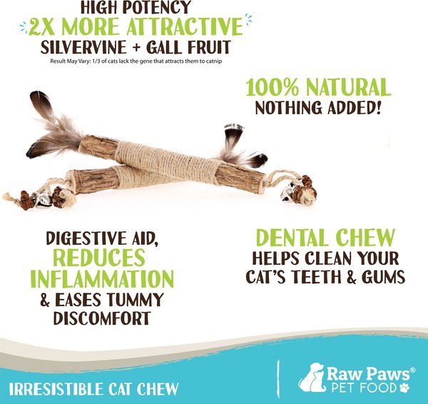 RAW PAWS Matatabi Silvervine Chew Stick with Feather, Gall Fruit ...