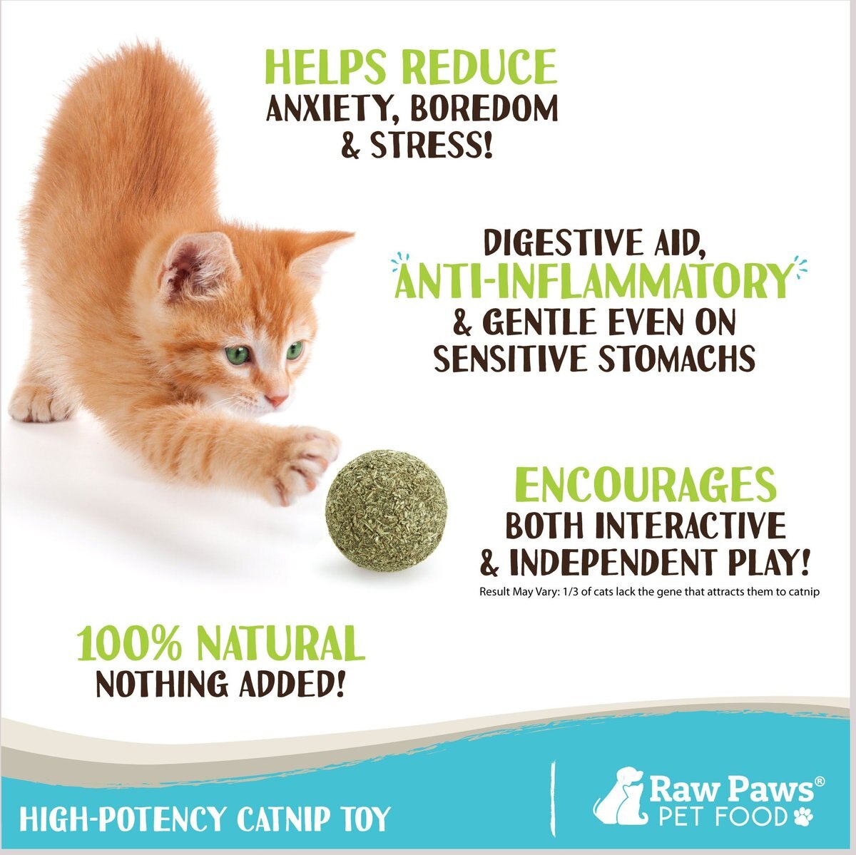 RAW PAWS Natural Catnip Interactive Cat Ball Toy, 6 count - Chewy.com