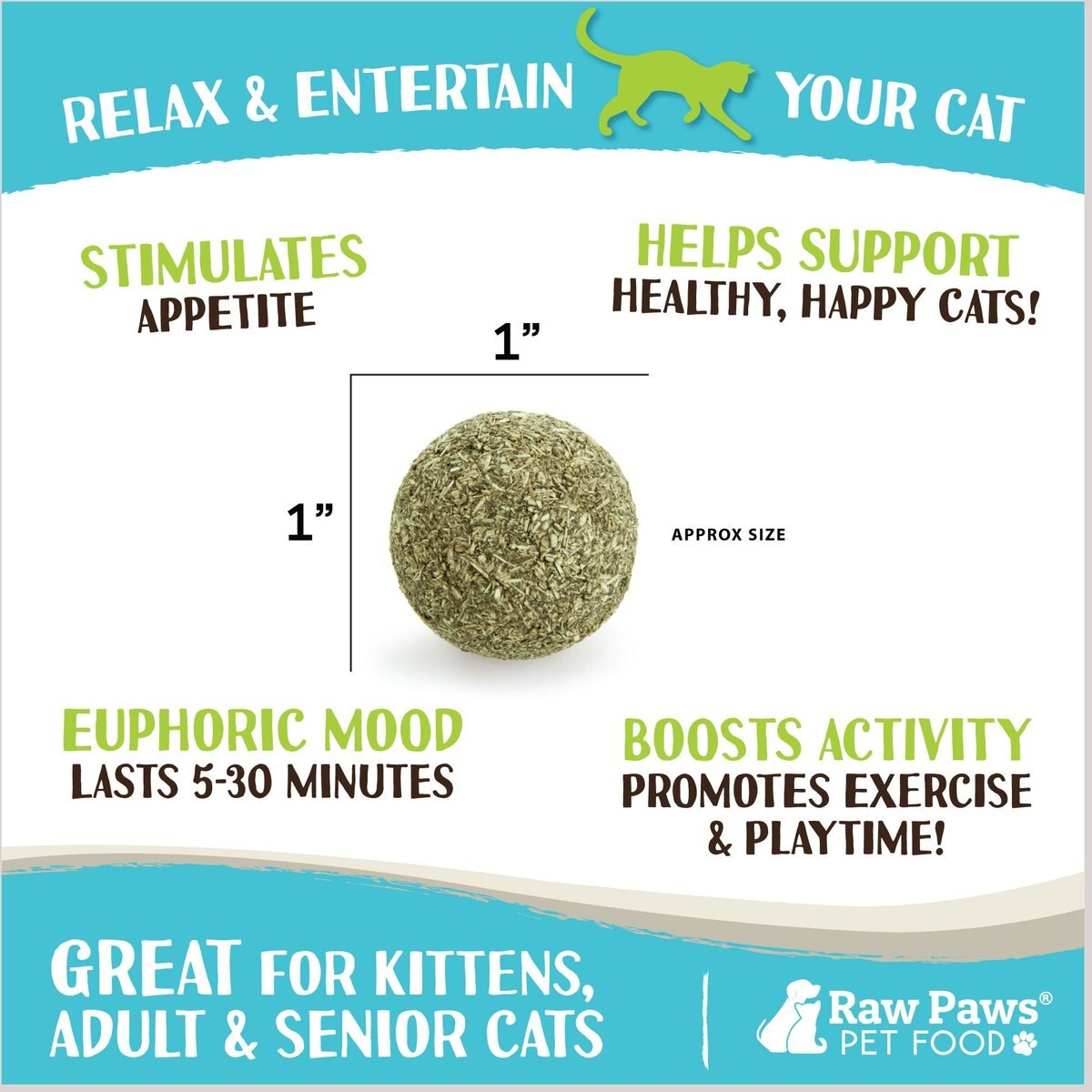 RAW PAWS Natural Catnip Interactive Cat Ball Toy, 6 count - Chewy.com