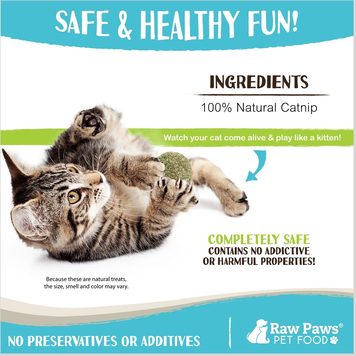 RAW PAWS Natural Catnip Interactive Cat Ball Toy, 6 count - Chewy.com