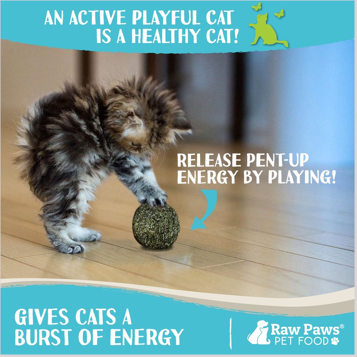 RAW PAWS Natural Catnip Interactive Cat Ball Toy, 6 count - Chewy.com