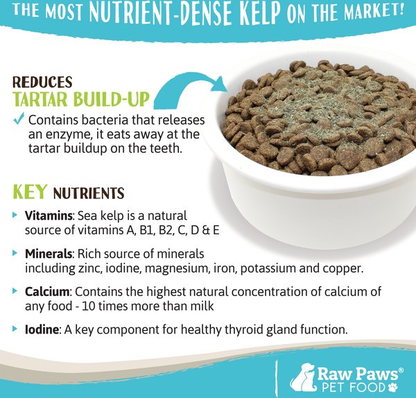 RAW PAWS Organic Sea Kelp Powder Supplement Food Topper for Dogs & Cats ...