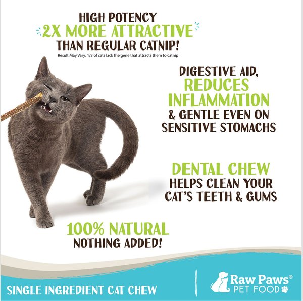 RAW PAWS Silvervine Sticks Cat Chew Toy, 30 count - Chewy.com