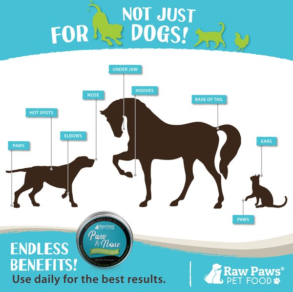 RAW PAWS Soothing Protective Paw Wax, 4-oz tin - Chewy.com