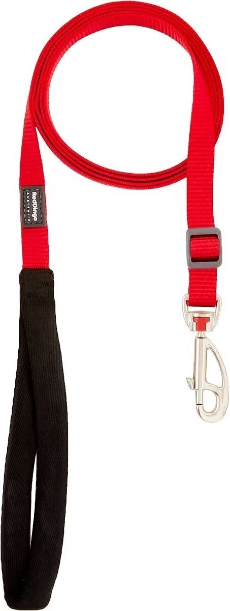 RED DINGO Classic Nylon Dog Leash, Red, X-Small: 6-ft long, 1/2-in wide ...