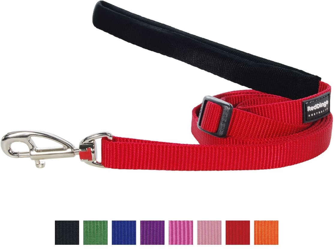 RED DINGO Classic Nylon Dog Leash, Red, X-Small: 6-ft long, 1/2-in wide ...