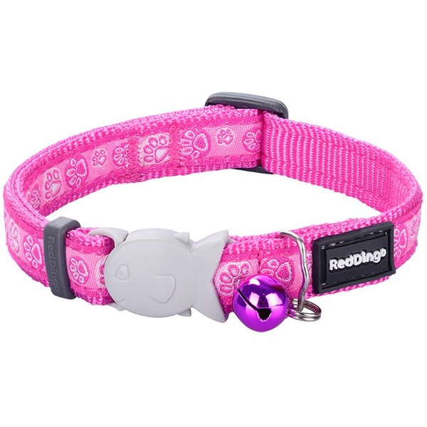 RED DINGO Reflective Ziggy Cat Collar, Orange - Chewy.com