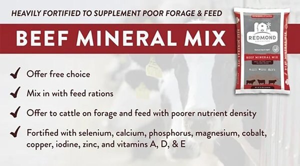 REDMOND Beef Mineral Mix Supplement for Cattle, 50-lb bag - Chewy.com