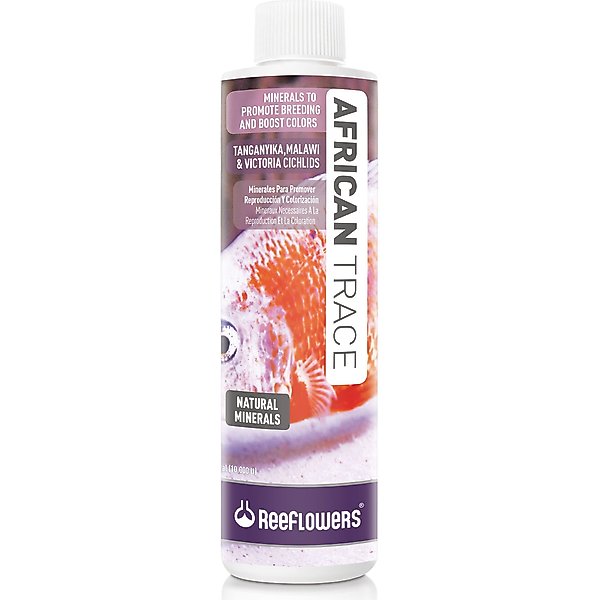 NATURE'S OCEAN Nutri-SeaWater Natural Live Ocean Aquarium Saltwater, 4. ...