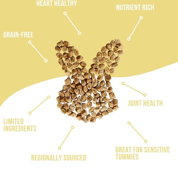 REMY'S KITCHEN Superfood Snacks Pumpkin & Kale Flavor Grain-Free Freeze ...