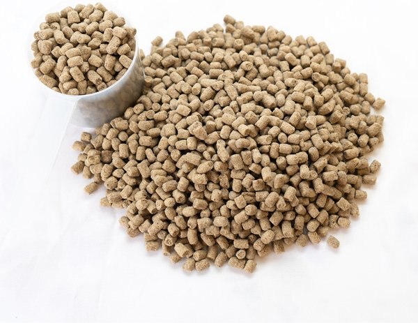 RENEW GOLD Glo Hoof & Hair Growth Horse Supplement, 7.5-lb bag - Chewy.com