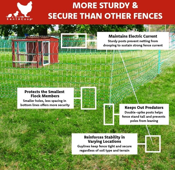 RENTACOOP Electric Anti-Predator Poultry Fence, 42-in x 168-ft roll ...