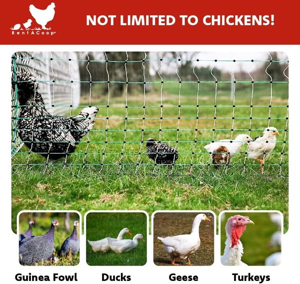 RENTACOOP Poultry Netting Electric Poultry Fence, 48-in x 168-ft roll ...