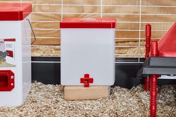 RENTACOOP Versatile Chicken Waterer, 64-oz - Chewy.com