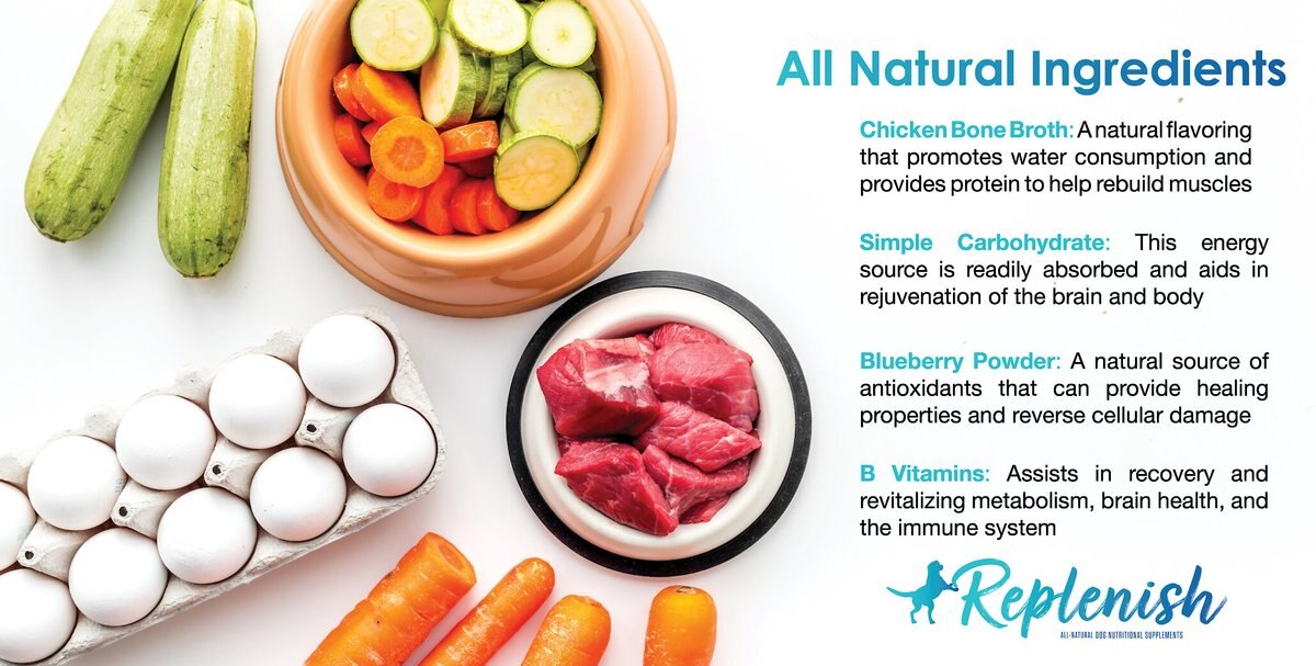 REPLENISH DOG WATER Recovery All-Natural Dog Powder Supplement, 10 ...