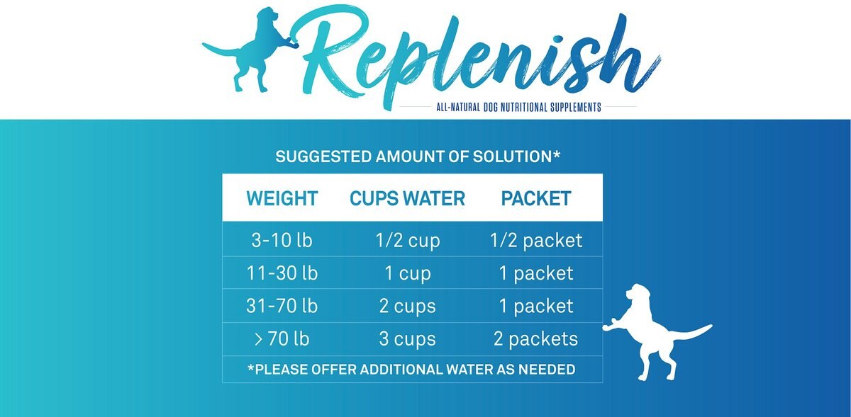 REPLENISH DOG WATER Recovery All-Natural Dog Powder Supplement, 10 ...