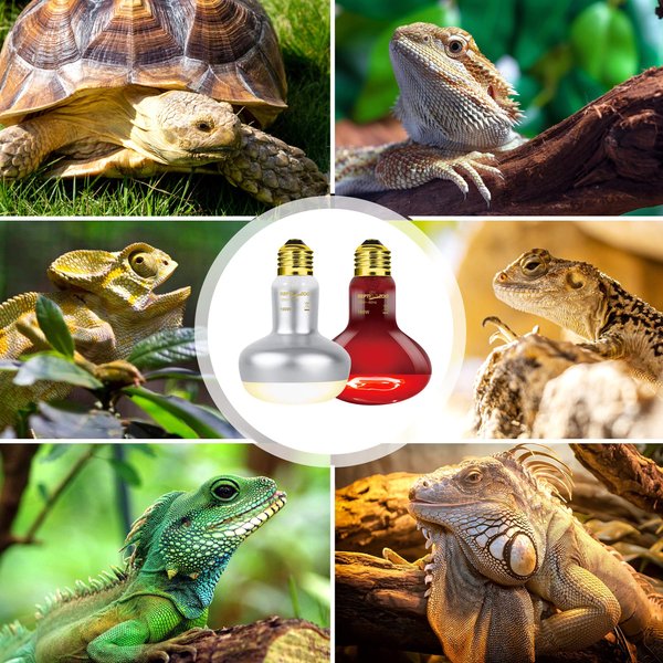 REPTI ZOO Basking Spot Lamp & Nocturnal Infrared Heat Lamp-100W Reptile Bulb, Multicolor, 4 ...