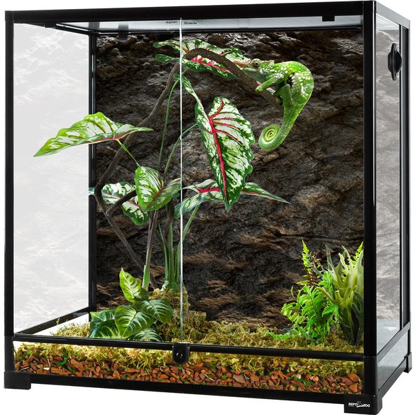 EXO TERRA Rainforest Reptile Habitat Kit, Small - Chewy.com