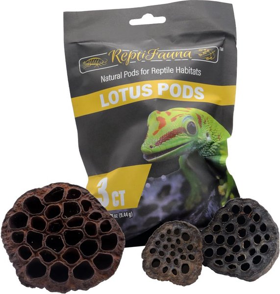 REPTIFAUNA Lotus Pods Reptile Substrate, 3 count - Chewy.com