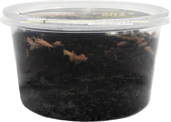 REPTIFAUNA Party Mix Isopod, 16-oz, 10 count - Chewy.com