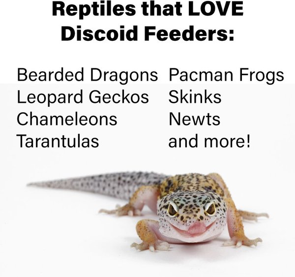 REPTIFEAST Discoid Reptile Food, Medium, 25 count - Chewy.com