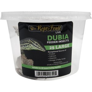 MACK'S NATURAL REPTILE FOOD Waxworm Live Feed Reptile Food, 25 count ...