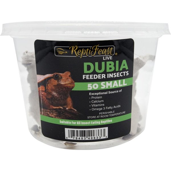 ABDRAGONS Live Mealworms Reptile, Bird, Fish & Small Pet Food, Mini, 50 ...