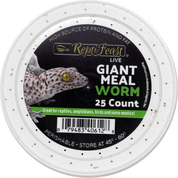 MACK'S NATURAL REPTILE FOOD Waxworm Live Feed Reptile Food, 25 count ...