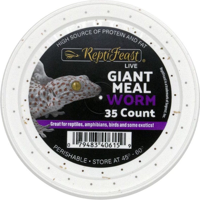 Temporarily Unavailable - REPTIFEAST Giant Mealworm Reptile Food, 35 ...