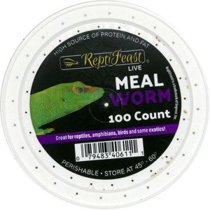REPTIFEAST Mealworm Reptile Food, 100 count - Chewy.com