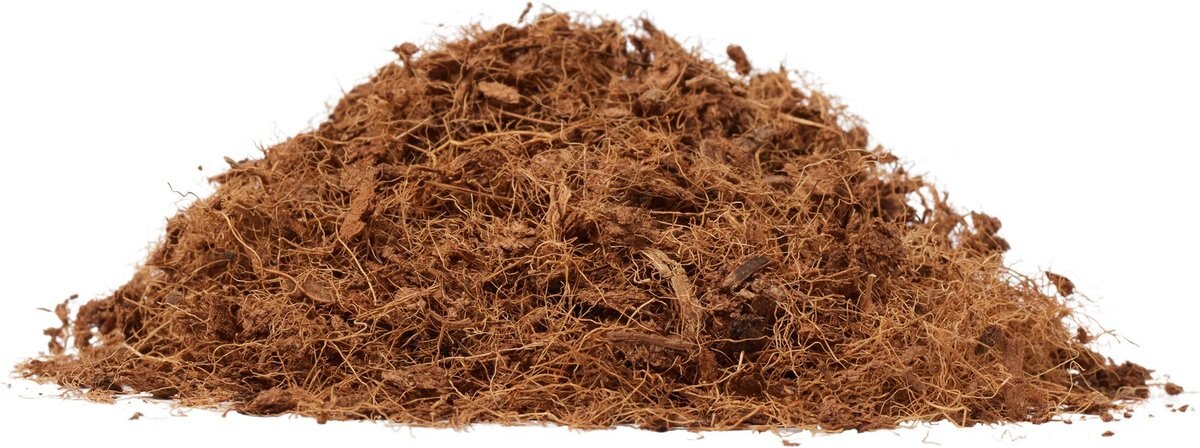 REPTILE PRIME Coconut Fiber Reptile Substrate, 24-qt bag - Chewy.com