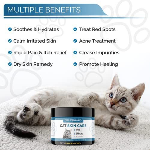 RESQ ORGANICS Cat Skin Care Balm, 8-fl oz jar - Chewy.com