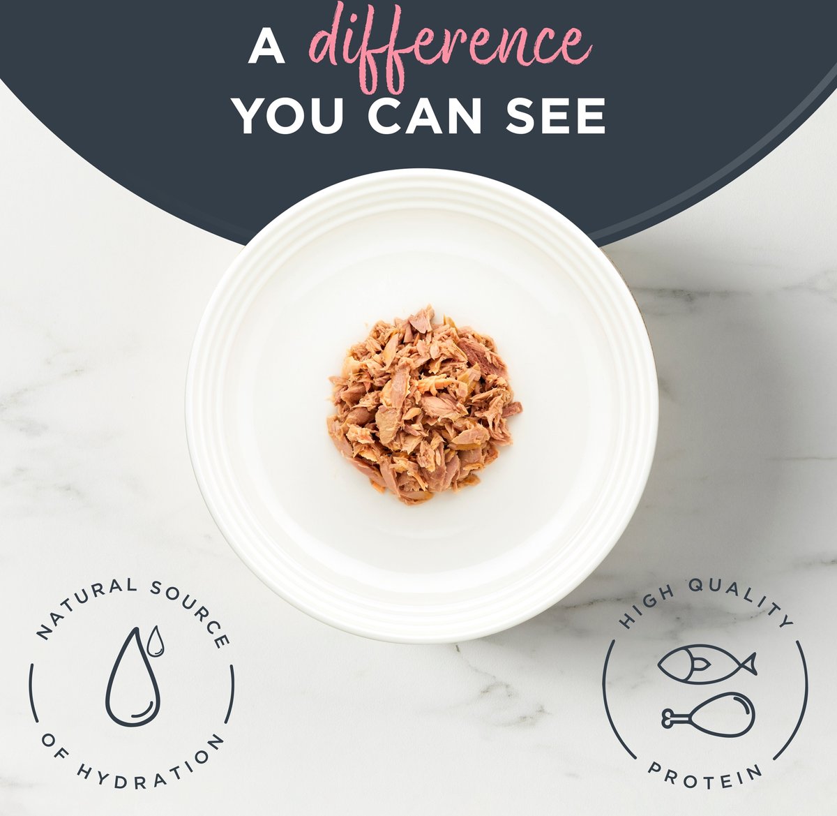 REVEAL Natural Grain-Free Tuna Fillet with Salmon in Broth Flavored Wet ...