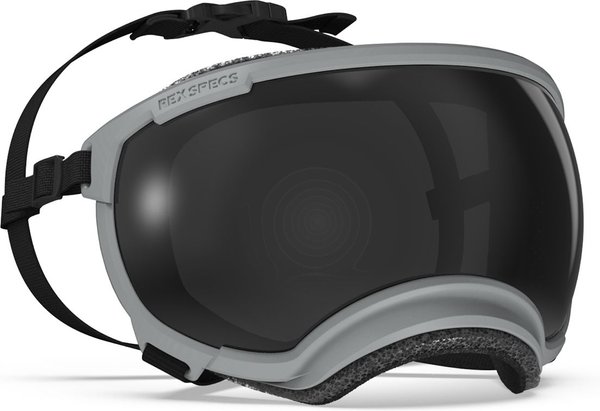 REX SPECS V2 Dog Goggles, Gallatin Grey, Large - Chewy.com