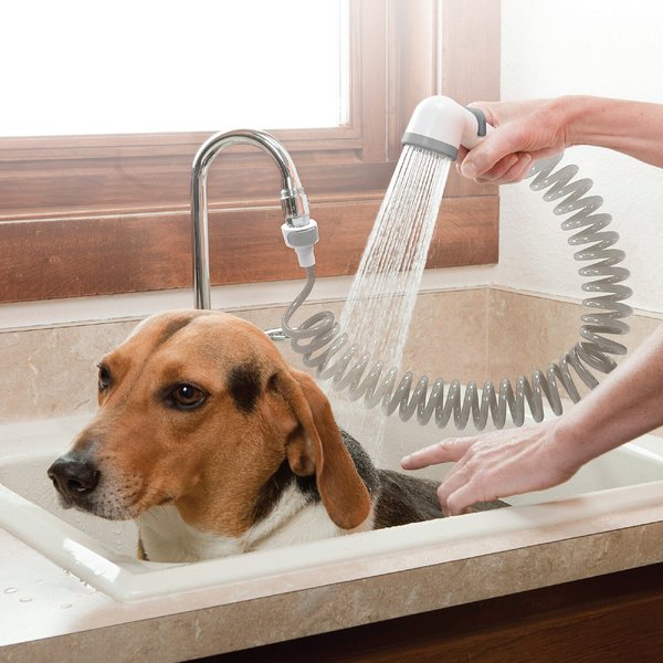 RINSE ACE 3-in-1 Pet Bathing System - Chewy.com