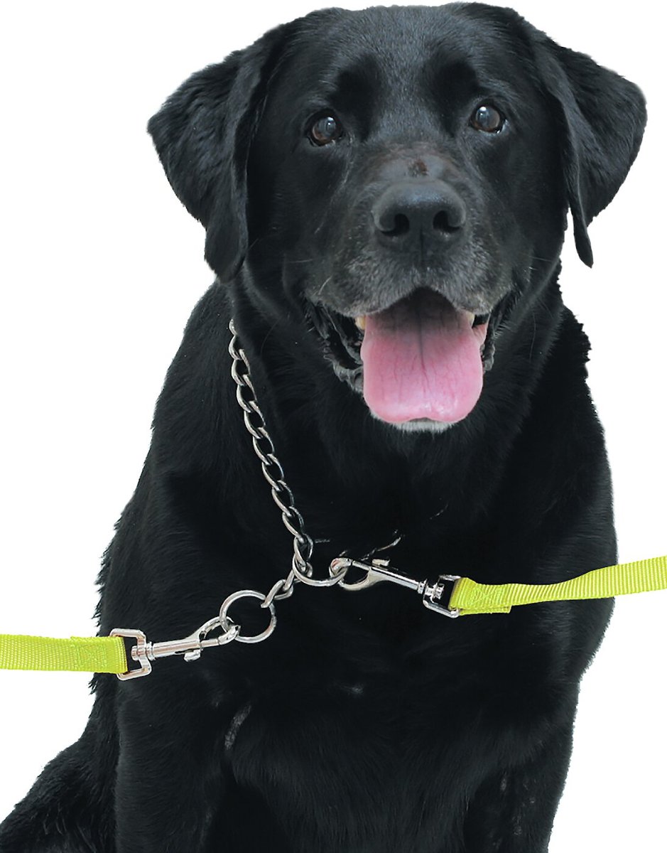 RINSE ACE Dog Bathing Tethers, 2 tethers - Chewy.com