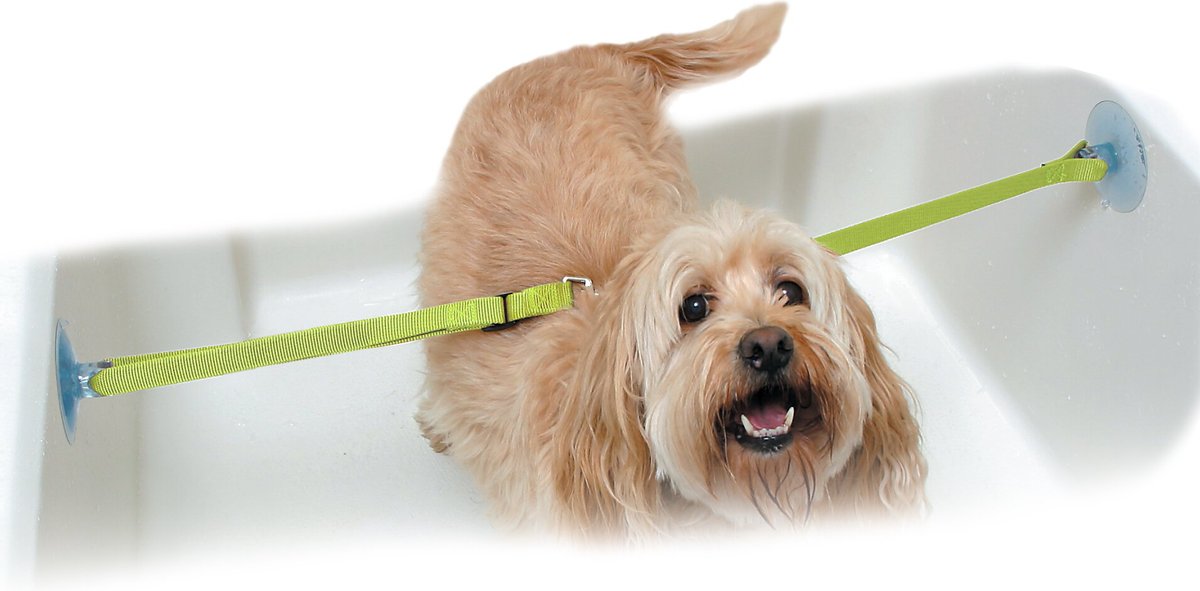 RINSE ACE Dog Bathing Tethers, 2 tethers - Chewy.com