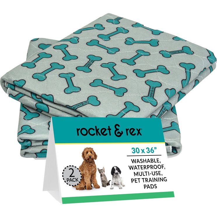 Rocket & Rex - Free shipping | Chewy